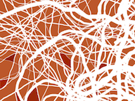 Unit 1 Lab 3: Modern Art with Polygons, Page 2